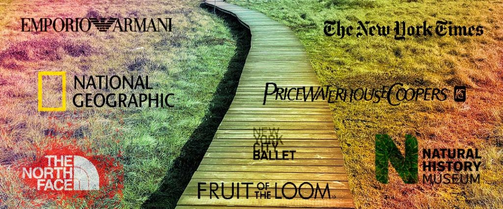 Logo Design: Logos with long names